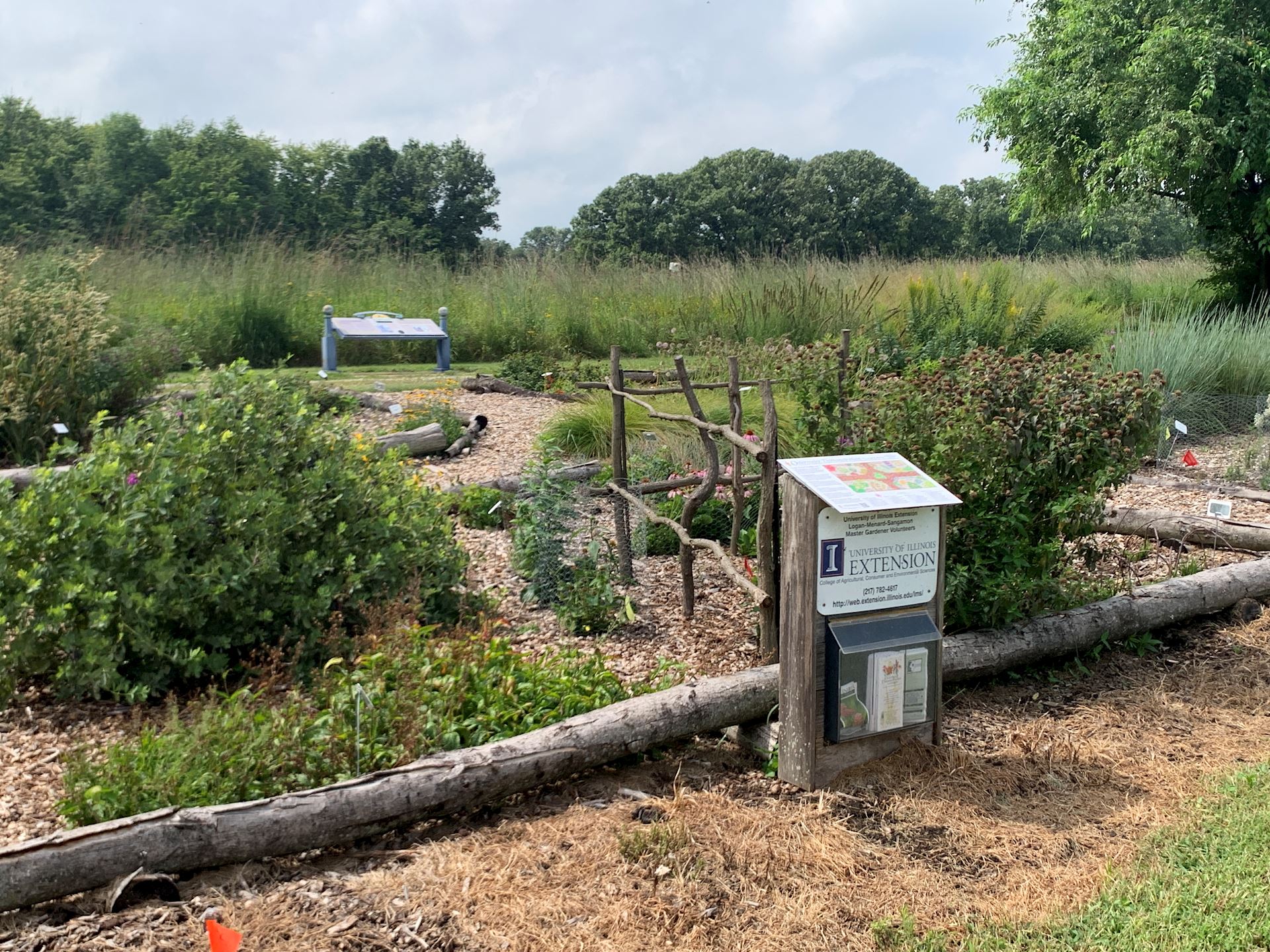 Creating a Native Garden from Scratch | Lincoln Memorial Gardens